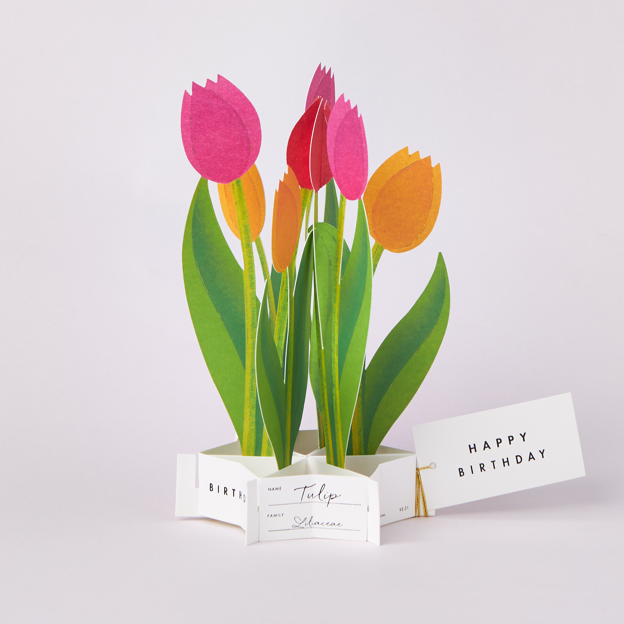 ザ・プレミアム・モルツ ファミリーセット FH3S | サントリ－（株）のプレゼント・ギフト通販 | TANP（タンプ）