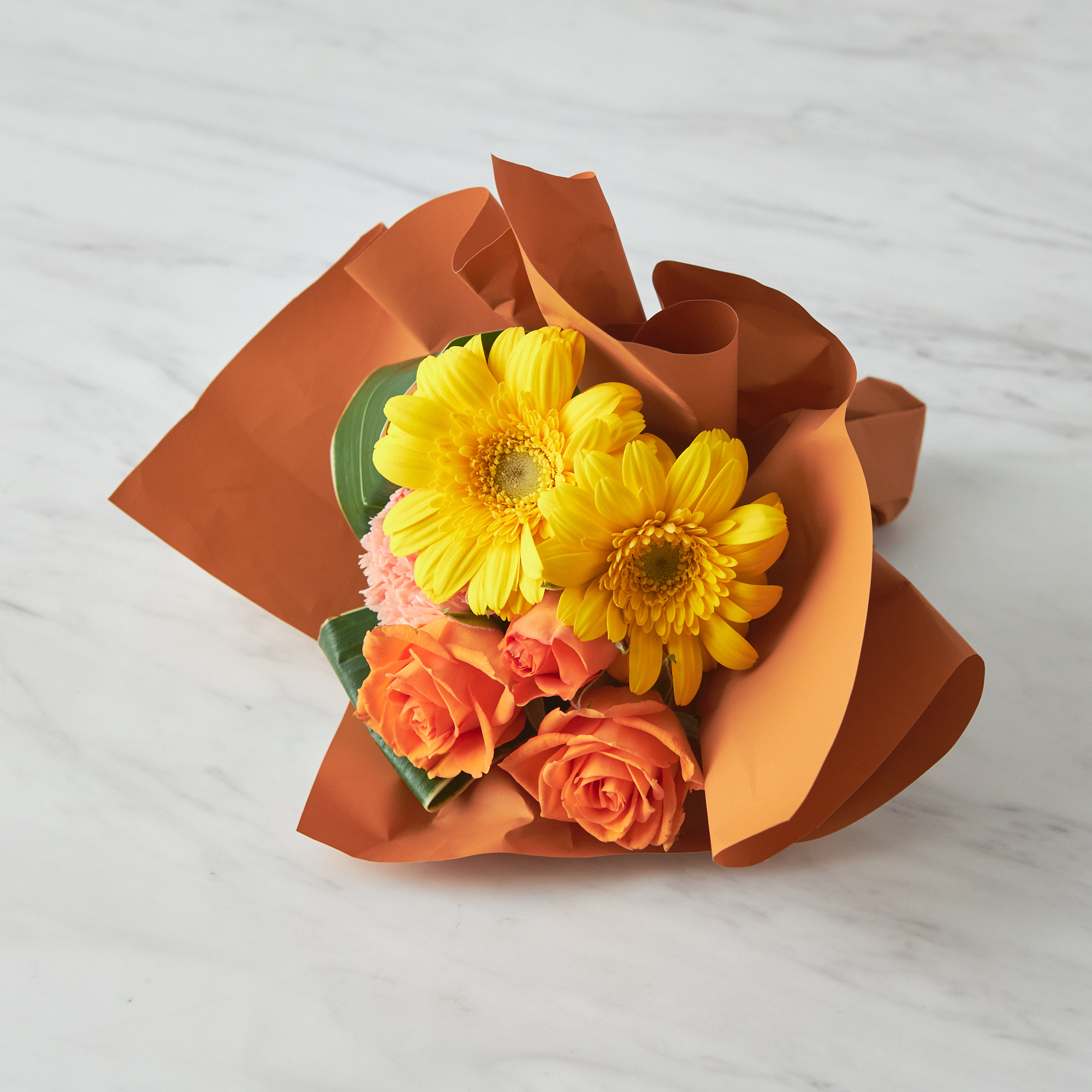 CACAOCAT 2個入り〈全6種〉 | DADACA（ダダカ）のプレゼント・ギフト通販 | TANP（タンプ）