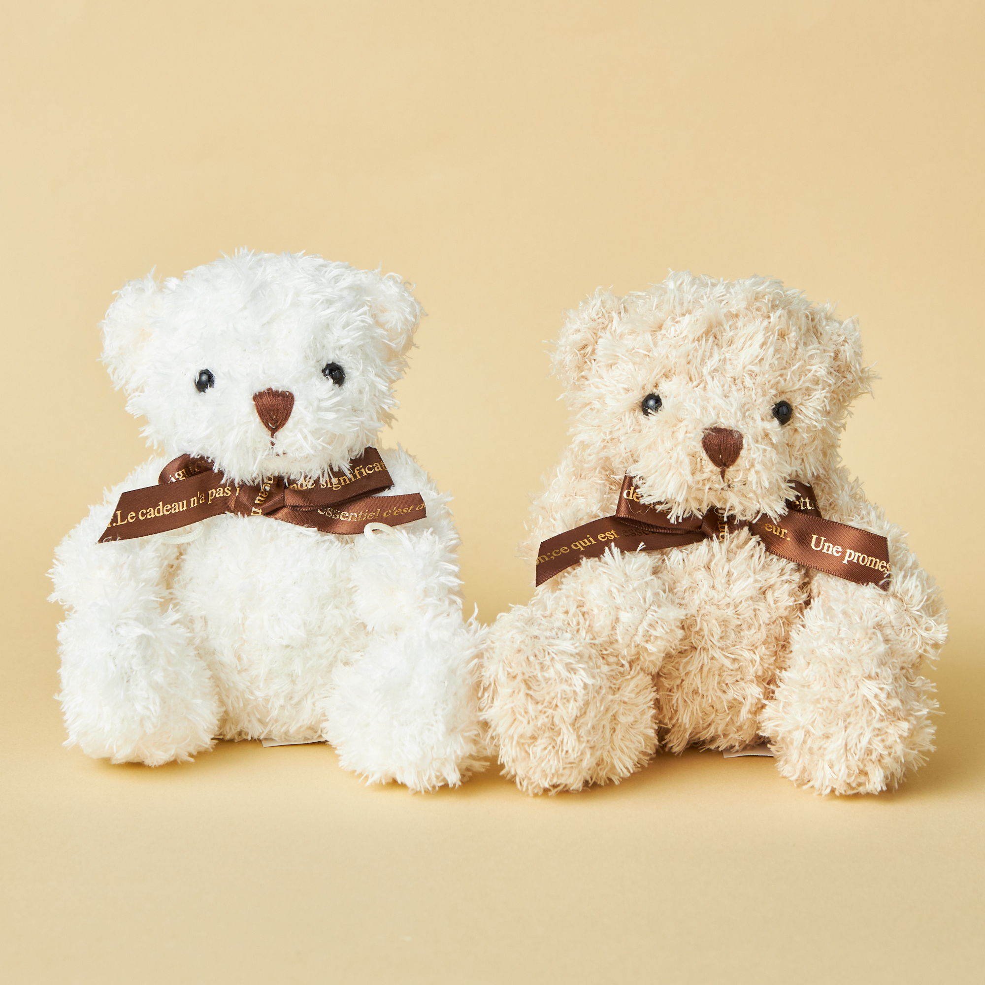 CACAOCAT 2個入り〈全6種〉 | DADACA（ダダカ）のプレゼント・ギフト通販 | TANP（タンプ）