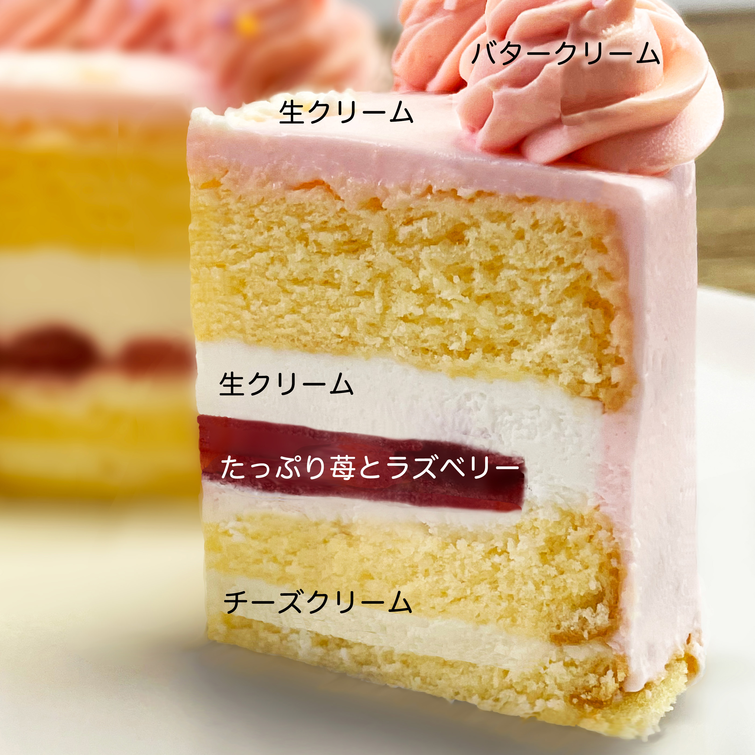 韓国発 誕生日ケーキ「センイルケーキ」4号 | 誕生日ケーキのお店・エスキィスのプレゼント・ギフト通販 | TANP（タンプ）