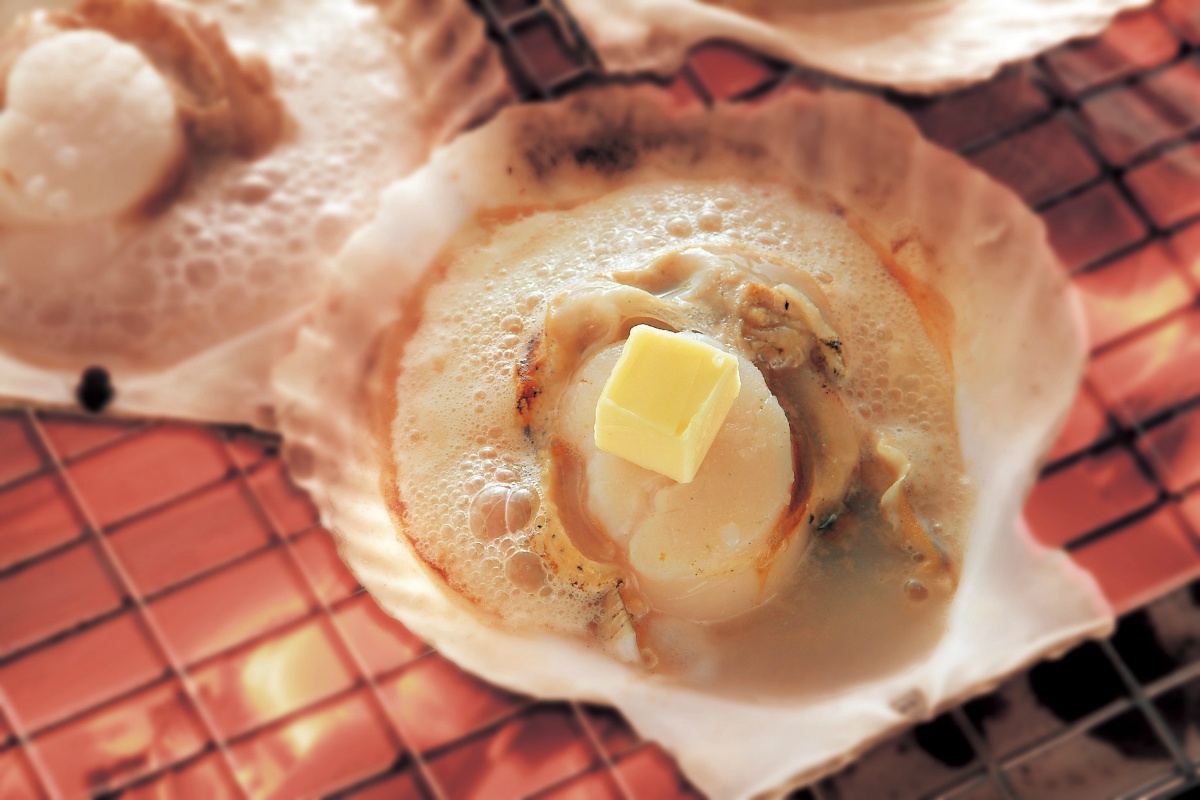 うまいものを探して島国をめぐる umashima―うましま〈凪〉 | アデリーチョイスカタログのプレゼント・ギフト通販 | TANP（タンプ）