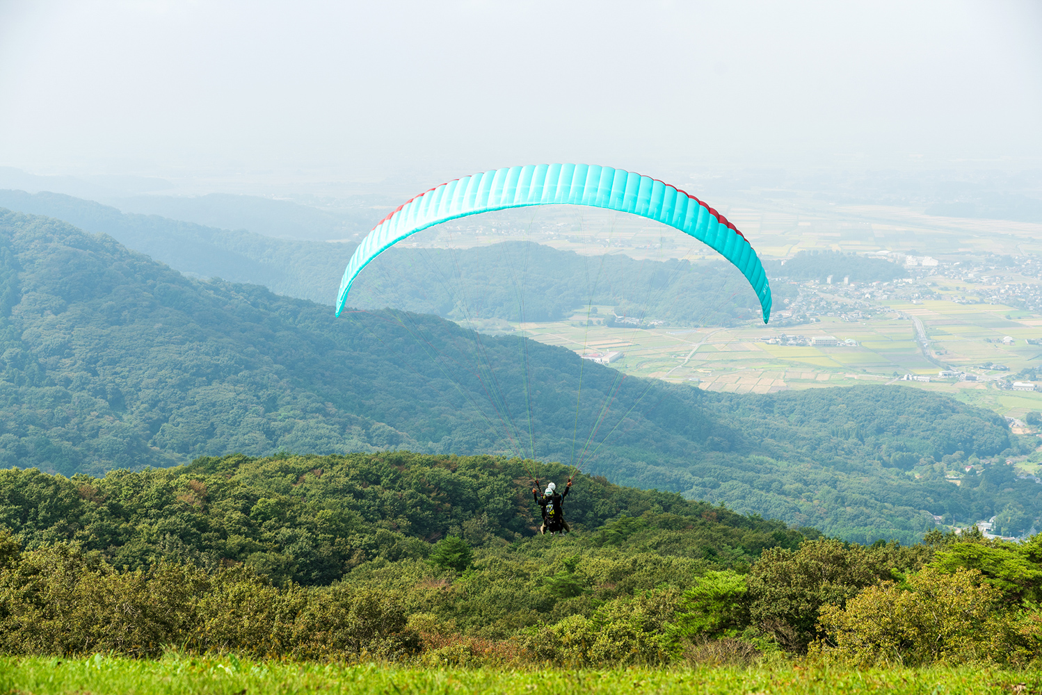 総合版カタログギフト（BROWN） | SOW EXPERIENCE（ソウ・エクスペリエンス）のプレゼント・ギフト通販 | TANP（タンプ）