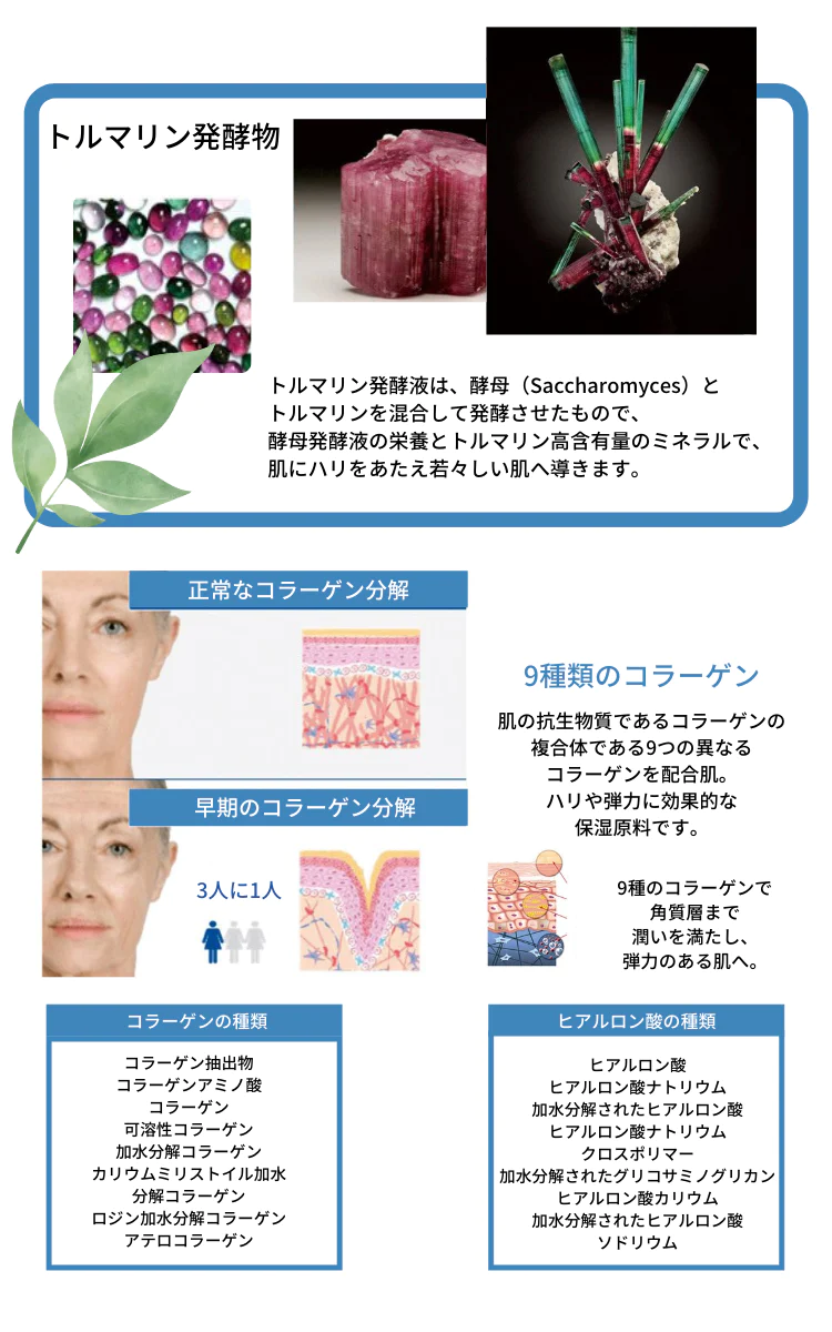 ELECDEARMA ROLL MASK【8個入り】 | DOLDORI（ドルドリ）のプレゼント・ギフト通販 | TANP（タンプ）