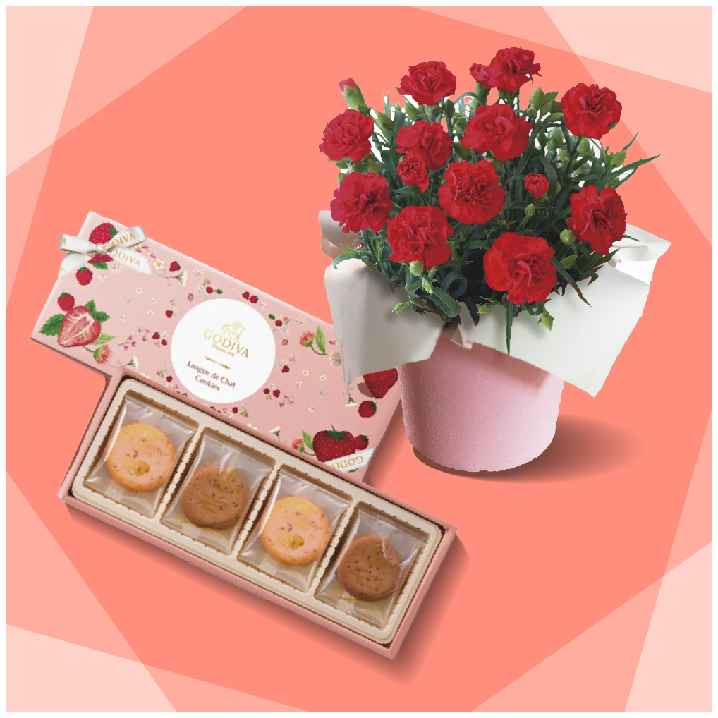 【最短5/13着！母の日限定カーネーション/日比谷花壇】定番カーネーション鉢とGODIVA苺クッキーセット | GODIVA（ゴディバ） TANP（タンプ） 日比谷花壇のプレゼント・ギフト通販 ...