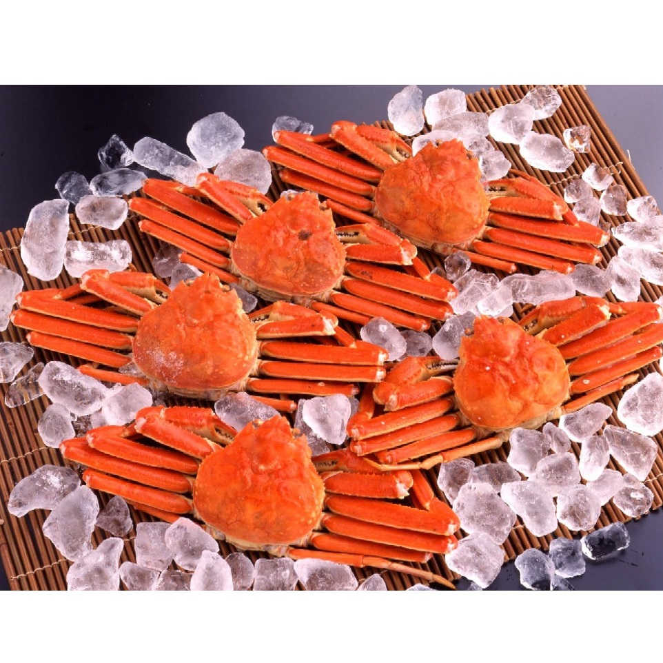 【TANP限定価格】ZHB505 ボイル姿本ずわい蟹5杯（計 約2.5kg） | 有限会社アイエスワイのプレゼント・ギフト通販 | TANP（タンプ）