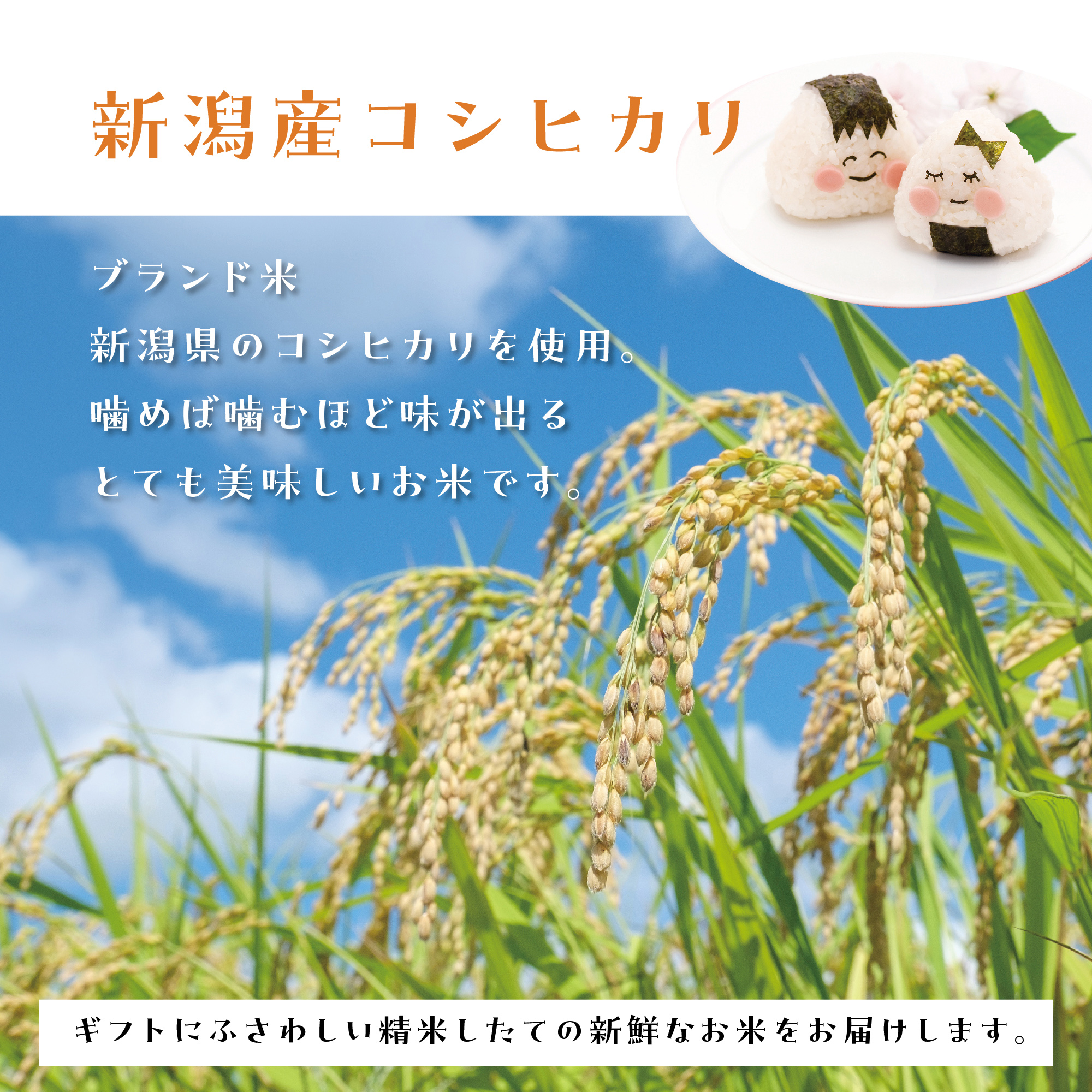 新米家族1000gのお米と3つ福猫最中セット | ギフト専門店 オオトモのプレゼント・ギフト通販 | TANP（タンプ）