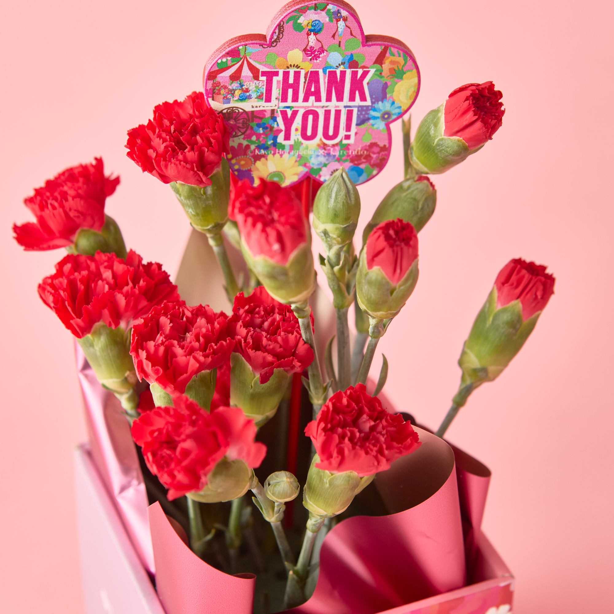 【母の日に贈る】選べるカーネーション＆限りなく天然温泉に近い入浴剤「HAA（5個入り）」 | karendo（カレンド） AND PLANTS （アンドプランツ） 日比谷花壇（ヒビヤカダン ...