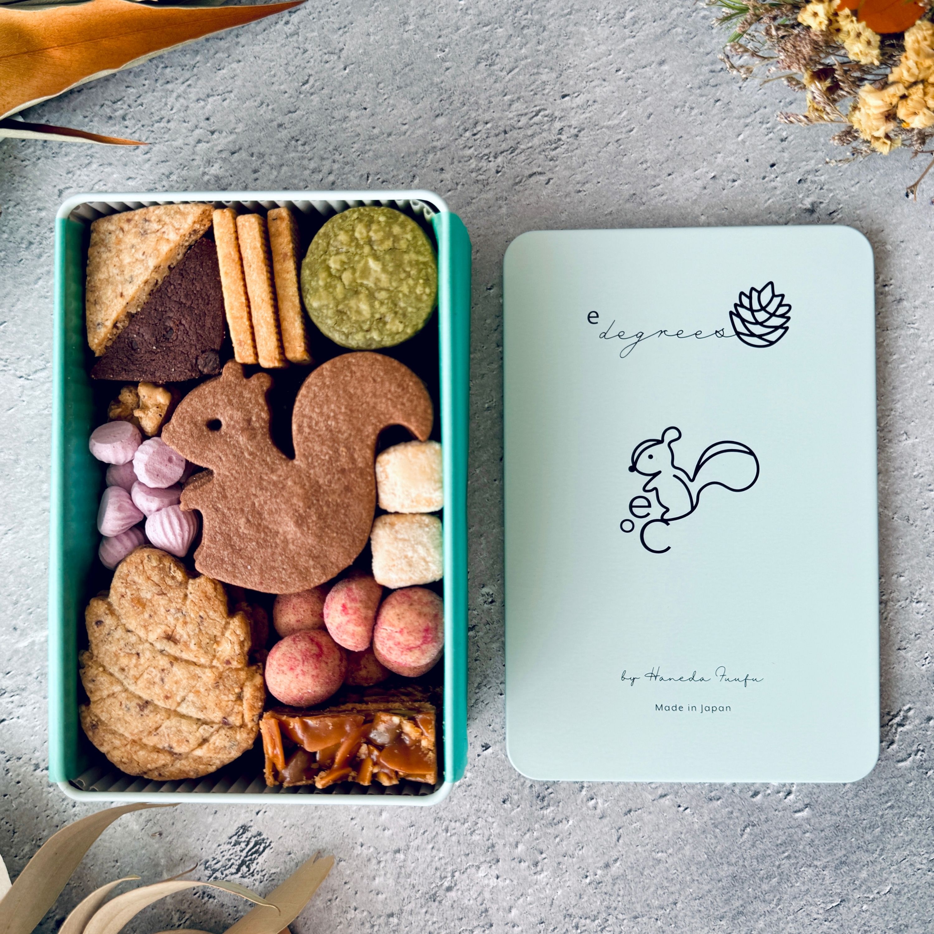 リスと戯れる森のクッキー缶 | e℃（イード）のプレゼント・ギフト通販 | TANP（タンプ）